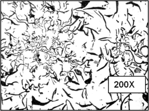 Iron Types (page 1), Gray & Ductile Irons - Metal Casting Institute