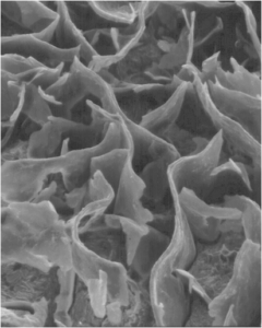 Iron Types (page 1), Gray & Ductile Irons - Metal Casting Institute